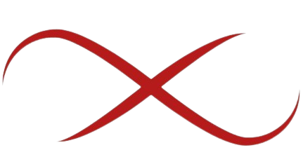 Leading Software, ERP, Plugin Development Company